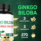 ginkgo biloba for cognitive support