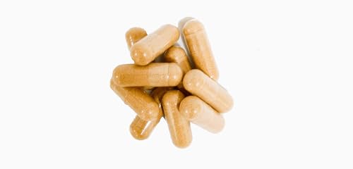 ginkgo biloba for cognitive support
