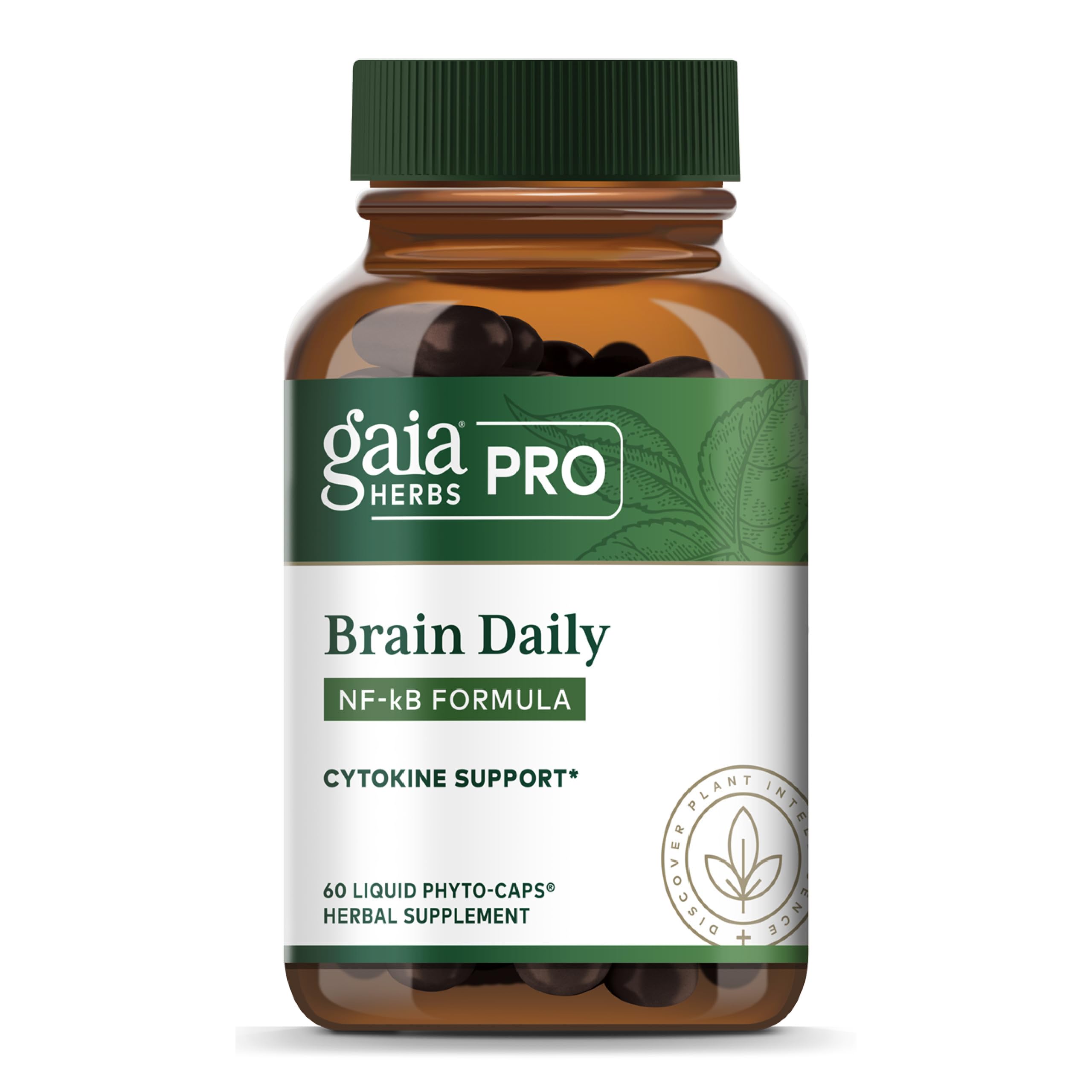 ginkgo biloba for cognitive support