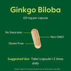 ginkgo biloba for cognitive support