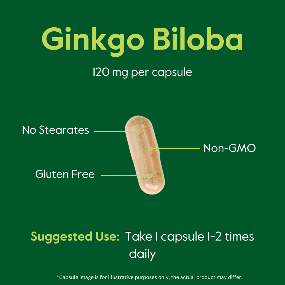 ginkgo biloba for cognitive support