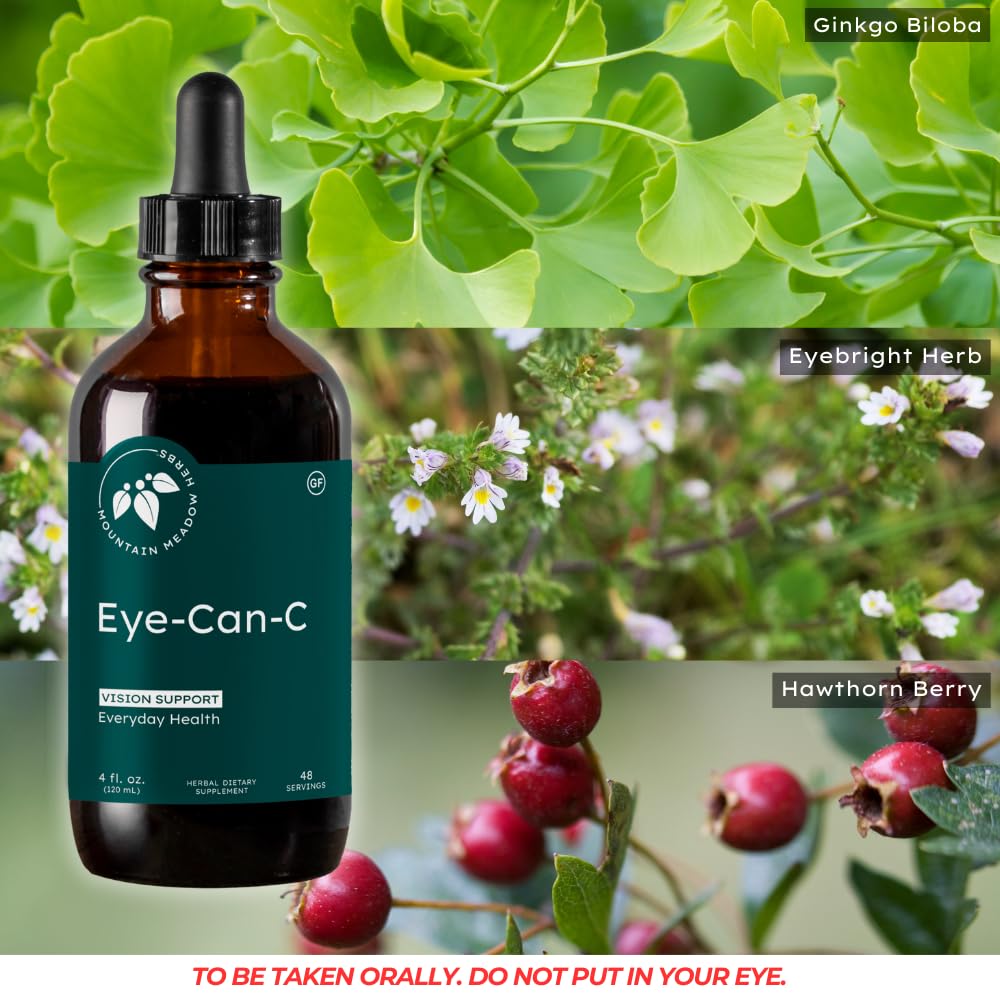 ginkgo biloba for enhanced cognitive function