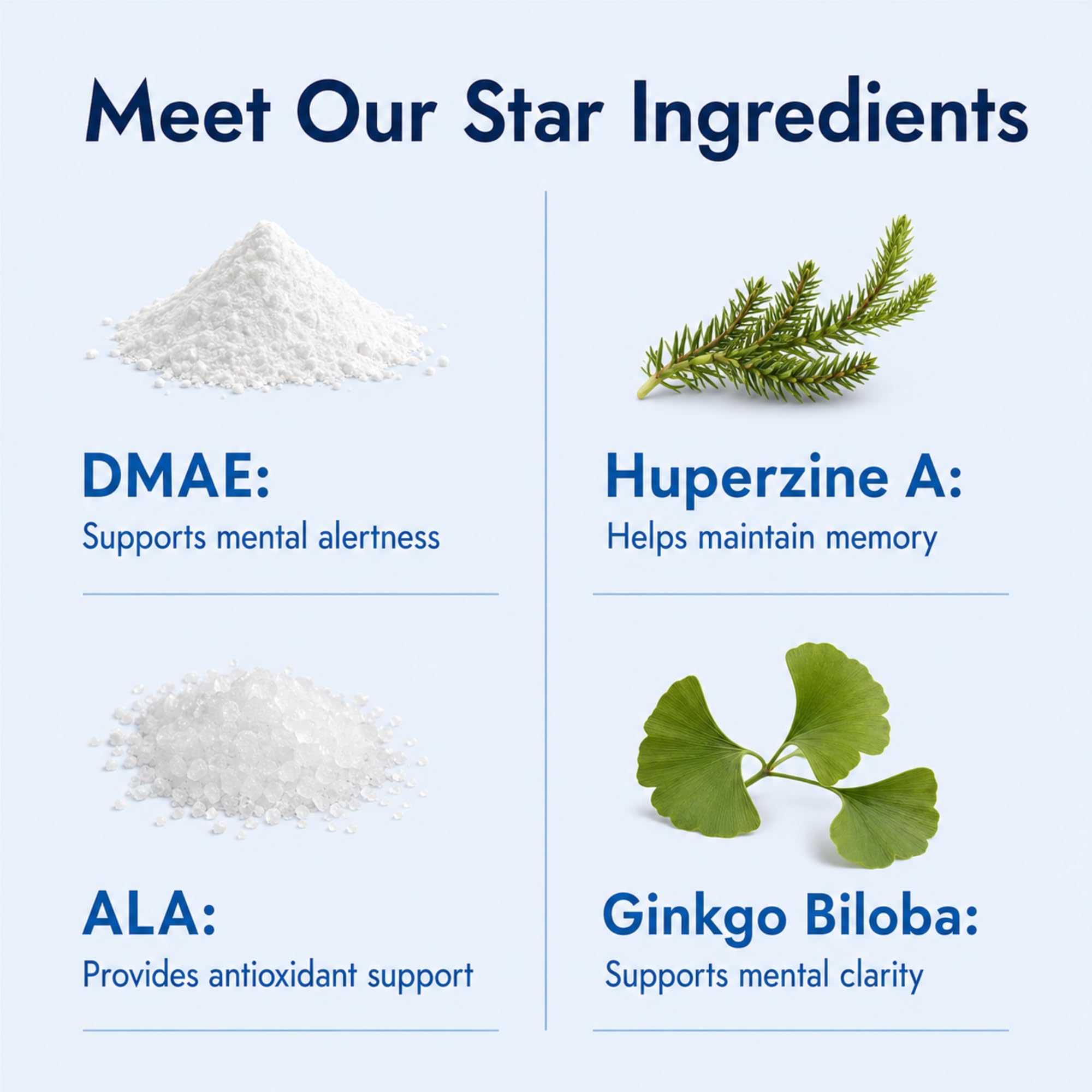 Ginkgo biloba for enhanced mental clarity