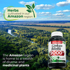 ginkgo biloba for improved circulation