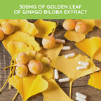 Ginkgo Biloba for improved circulation