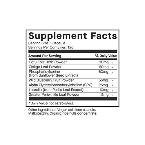 ginkgo biloba for improved cognitive function