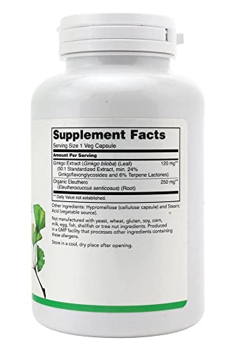 ginkgo biloba for improved cognitive function