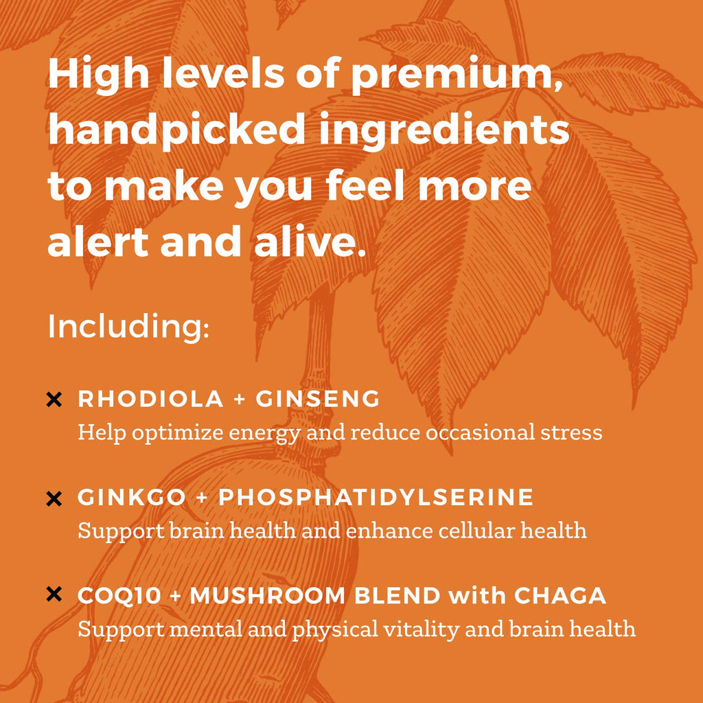 ginkgo biloba for improved cognitive function