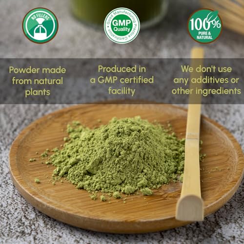 ginkgo biloba for improved cognitive function