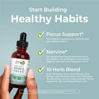 ginkgo biloba for improved concentration