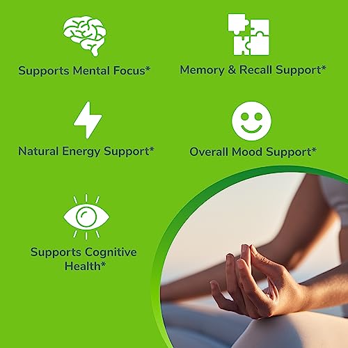 ginkgo biloba for improved concentration