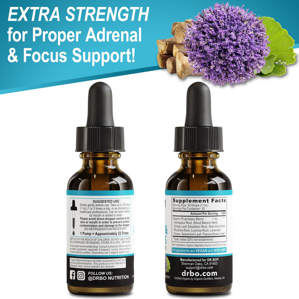 ginkgo biloba for improved concentration