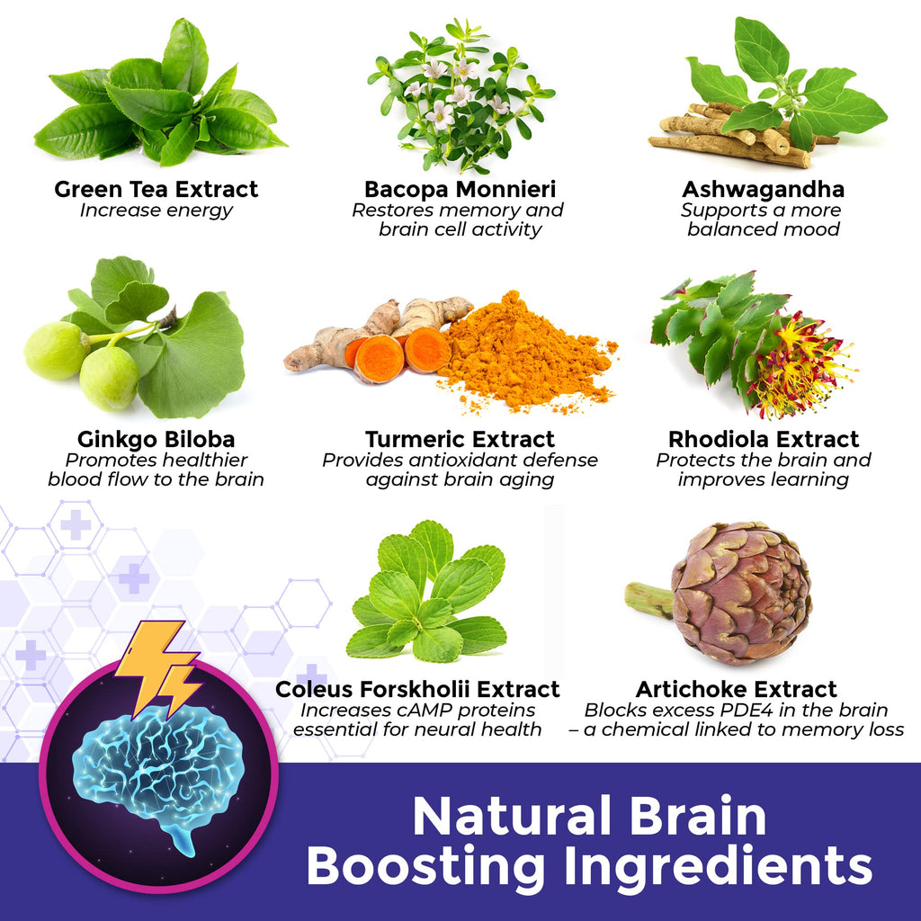 ginkgo biloba for improved concentration