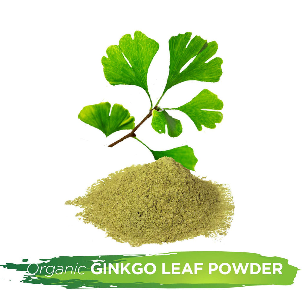Ginkgo biloba for improved focus and memory