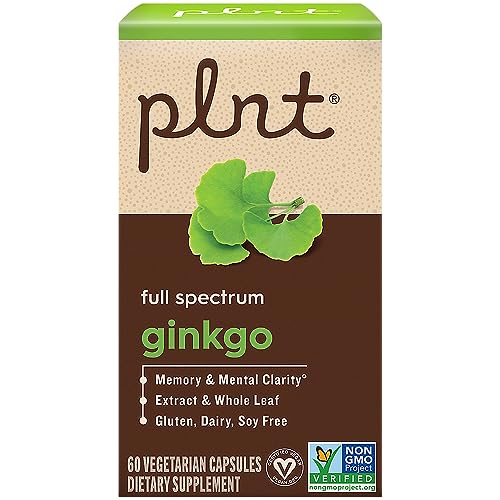 ginkgo biloba for improved focus