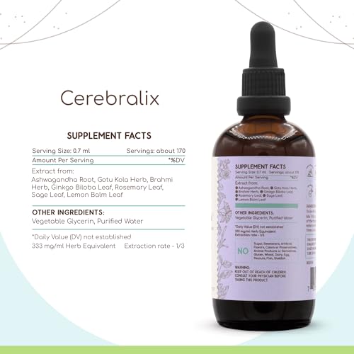 ginkgo biloba for improved focus
