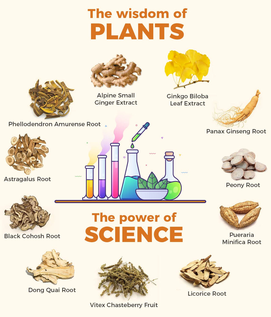 ginkgo biloba for improved focus