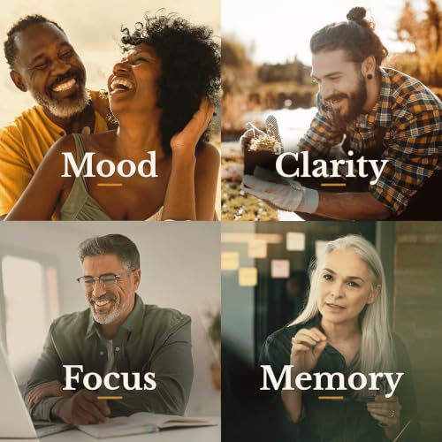 ginkgo biloba for improved mental clarity