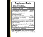 ginkgo biloba for improved mental performance