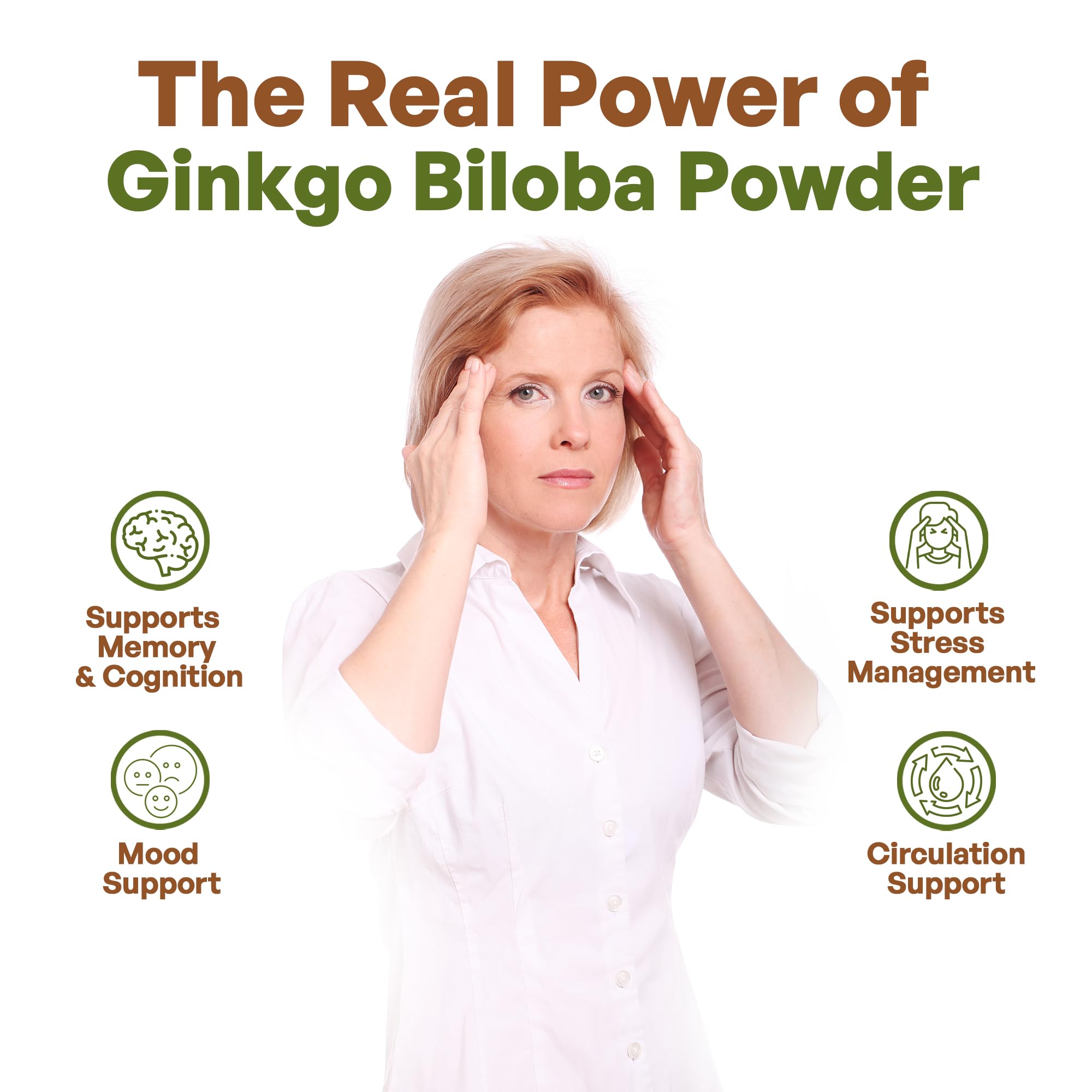 ginkgo biloba for memory support