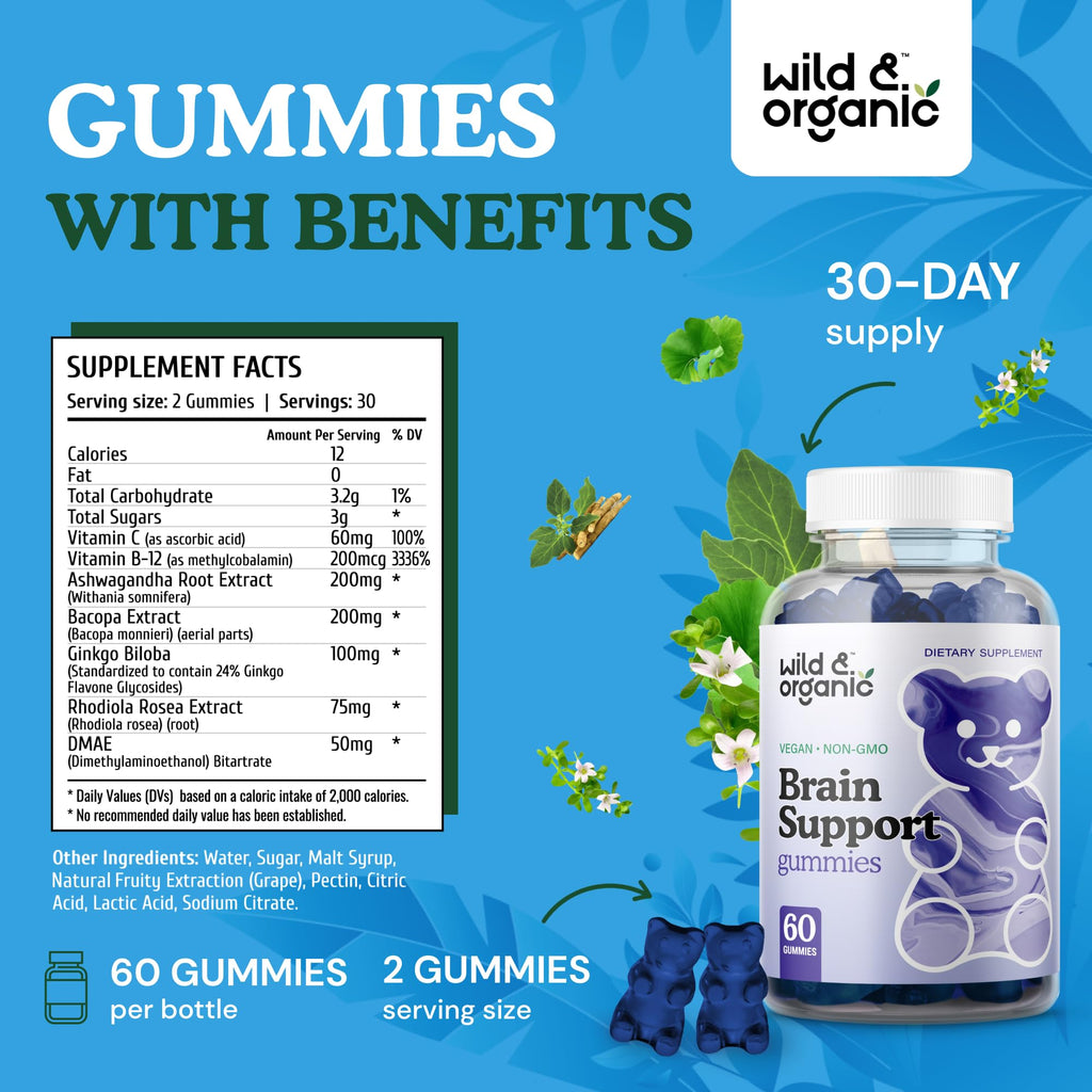 ginkgo biloba for memory support