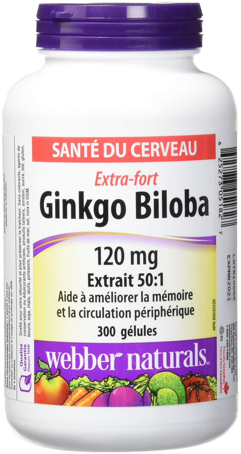 ginkgo biloba for memory support