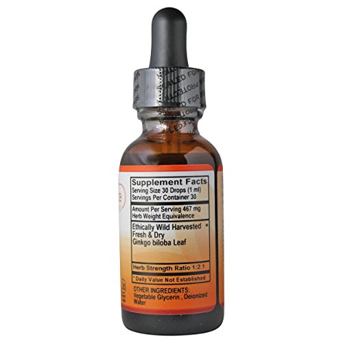 ginkgo biloba for memory support