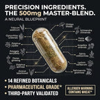 Ginkgo Biloba for mental clarity