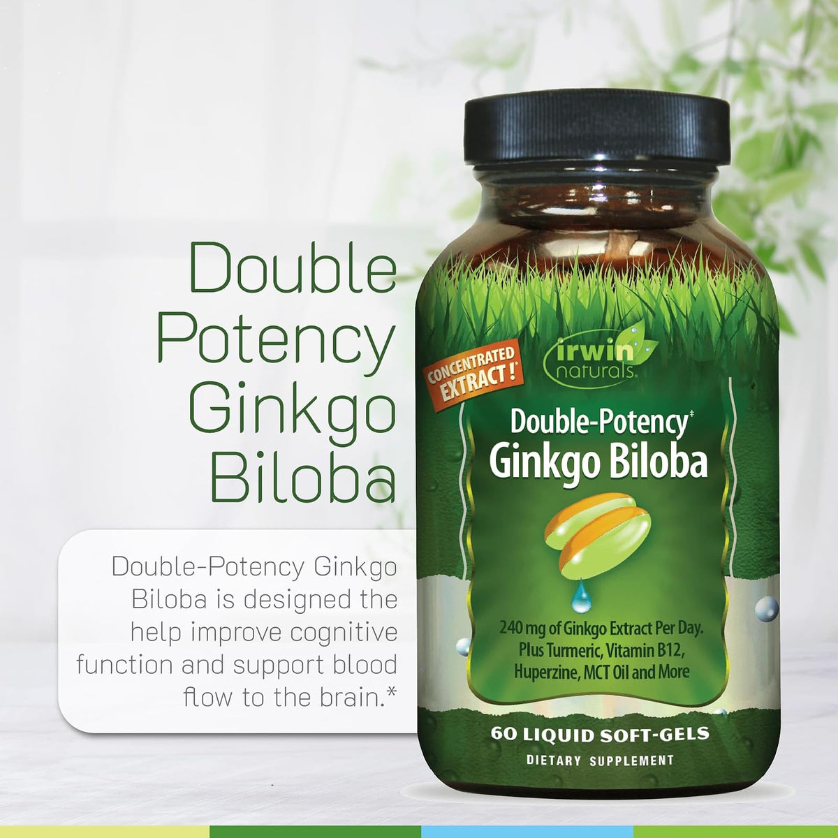ginkgo biloba for mental clarity