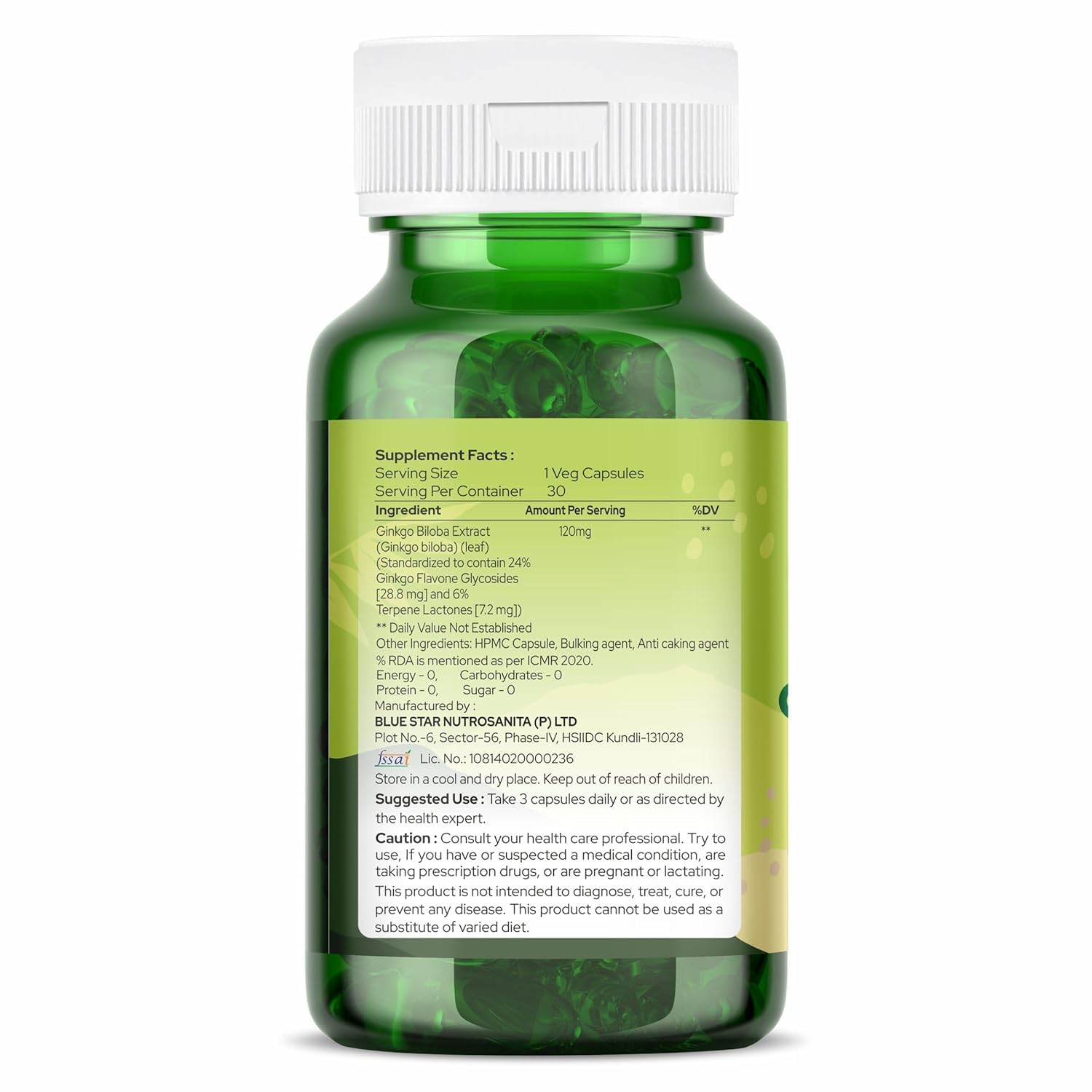 ginkgo biloba for overall health improvement