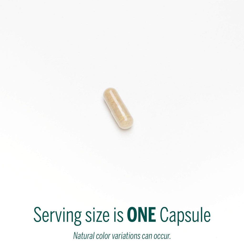 ginkgo biloba for overall wellness support