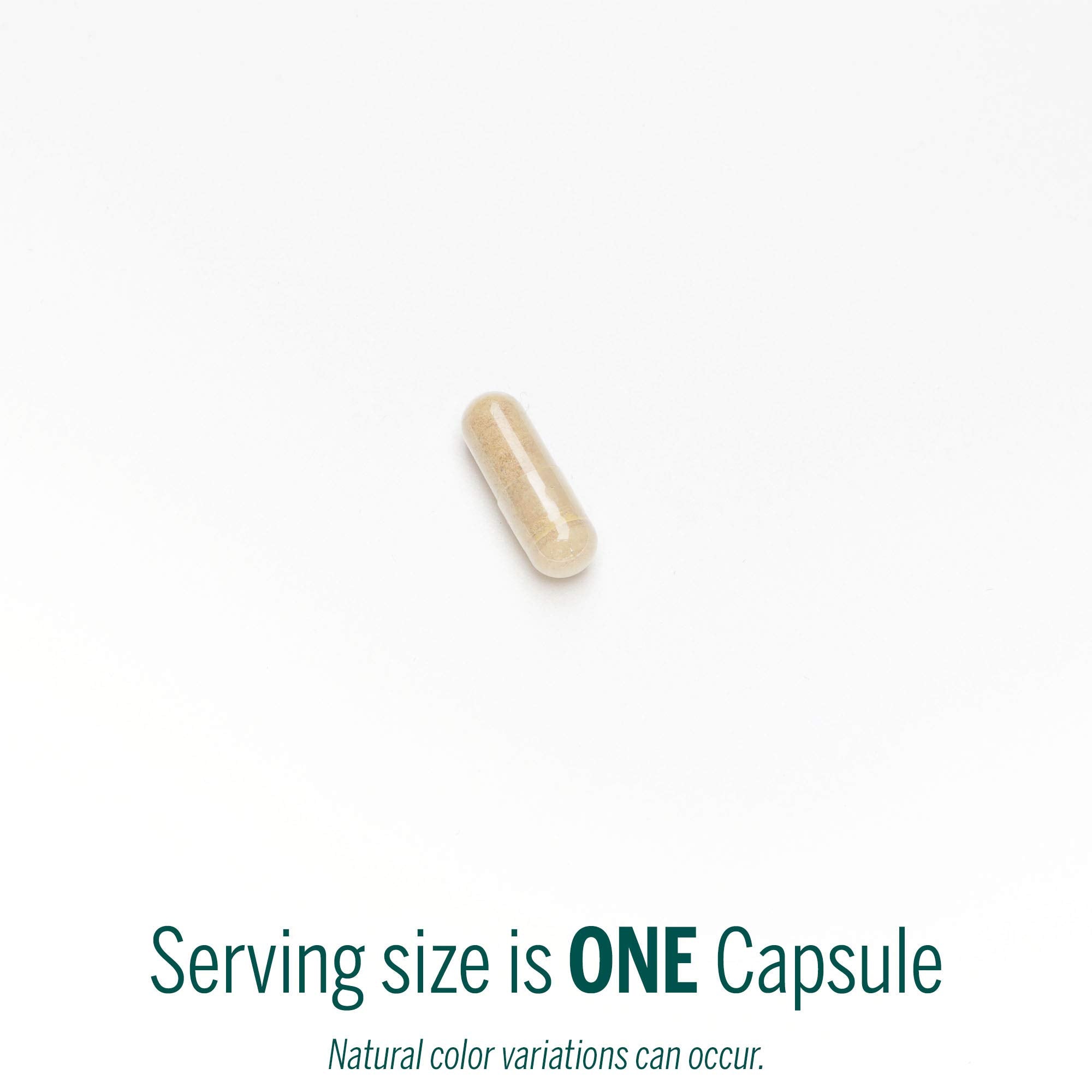 ginkgo biloba for overall wellness support
