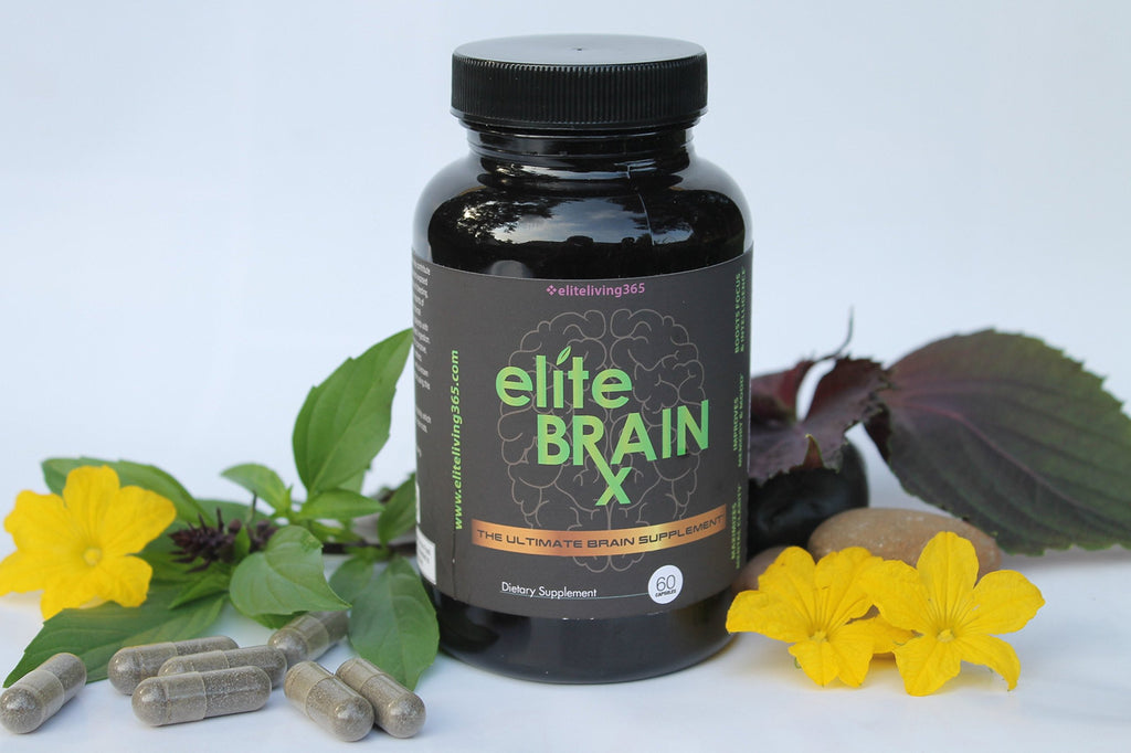 ginkgo biloba for overall wellness