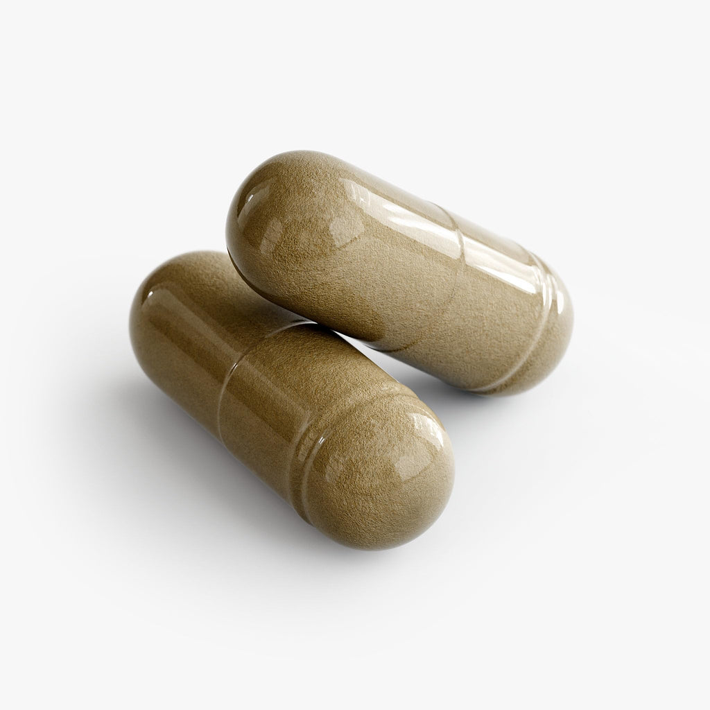 ginkgo biloba for overall wellness