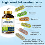 ginkgo biloba for stress relief