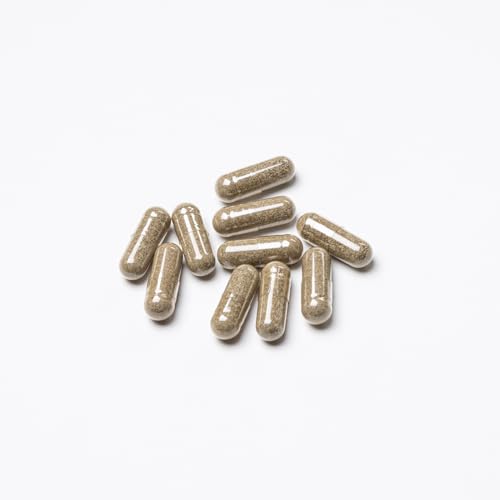 ginkgo biloba for tinnitus relief