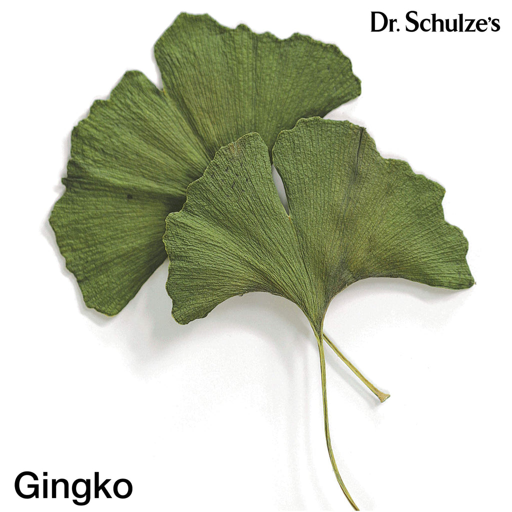 ginkgo biloba for tinnitus relief