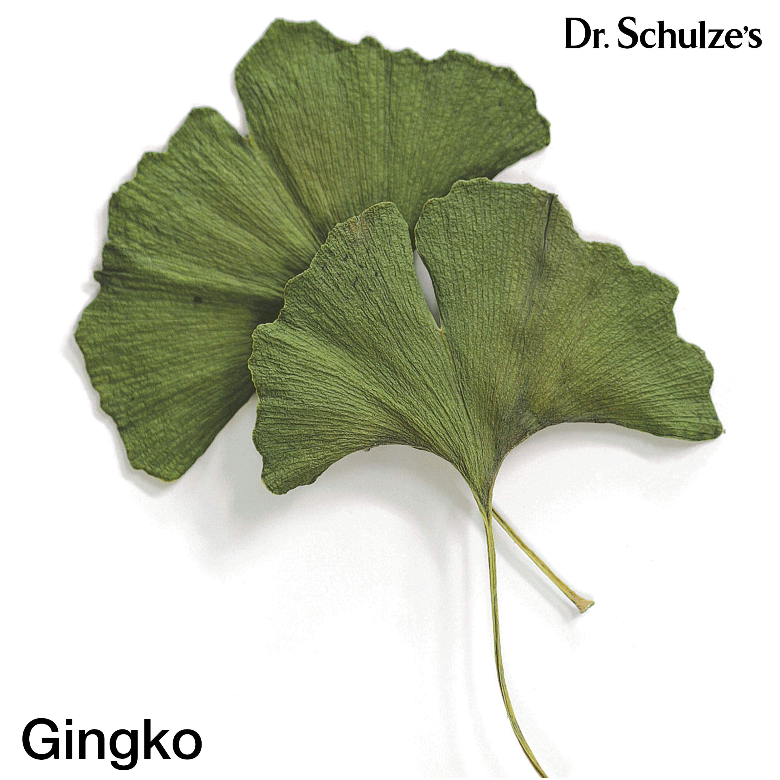 ginkgo biloba for tinnitus relief