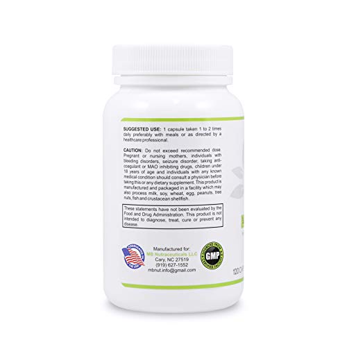 ginkgo biloba for tinnitus relief