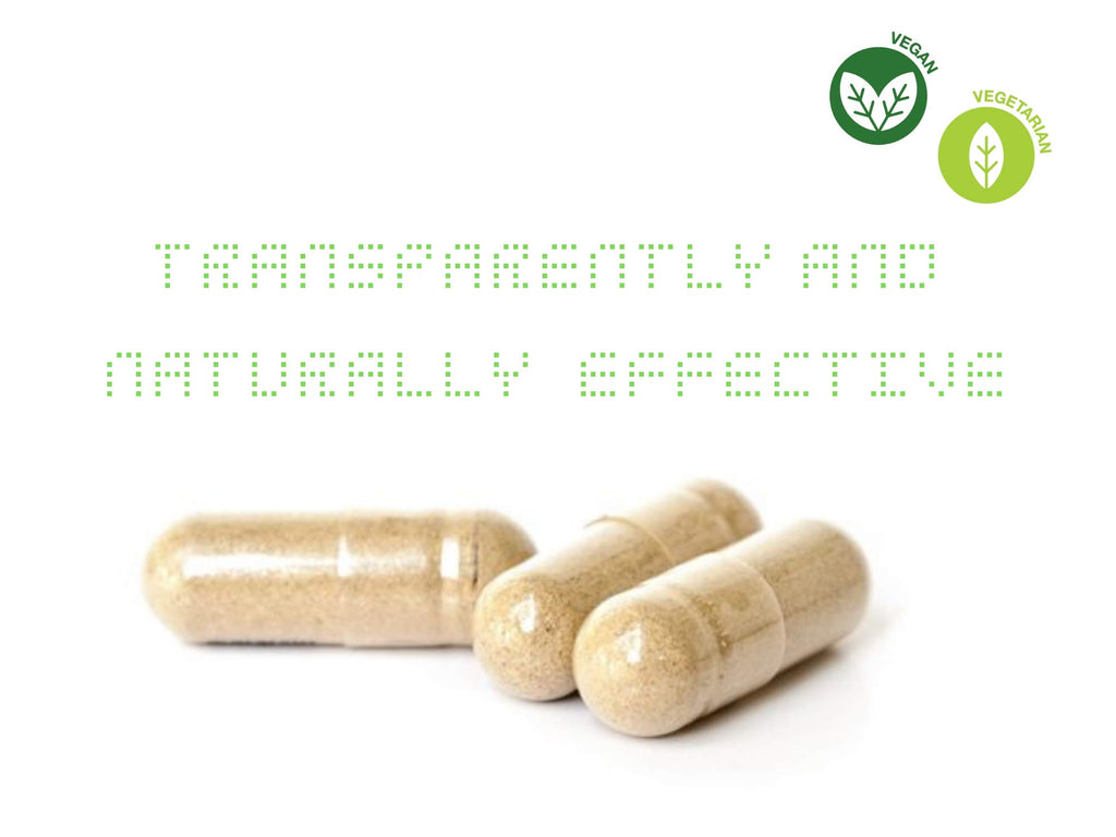 ginkgo biloba for tinnitus relief