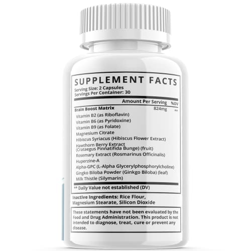 ginkgo biloba for tinnitus relief