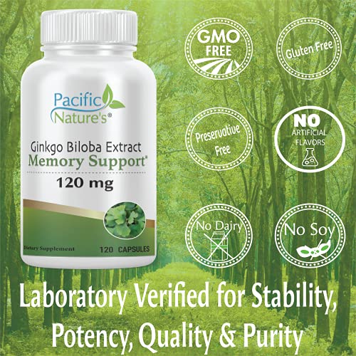 ginkgo biloba for tinnitus relief