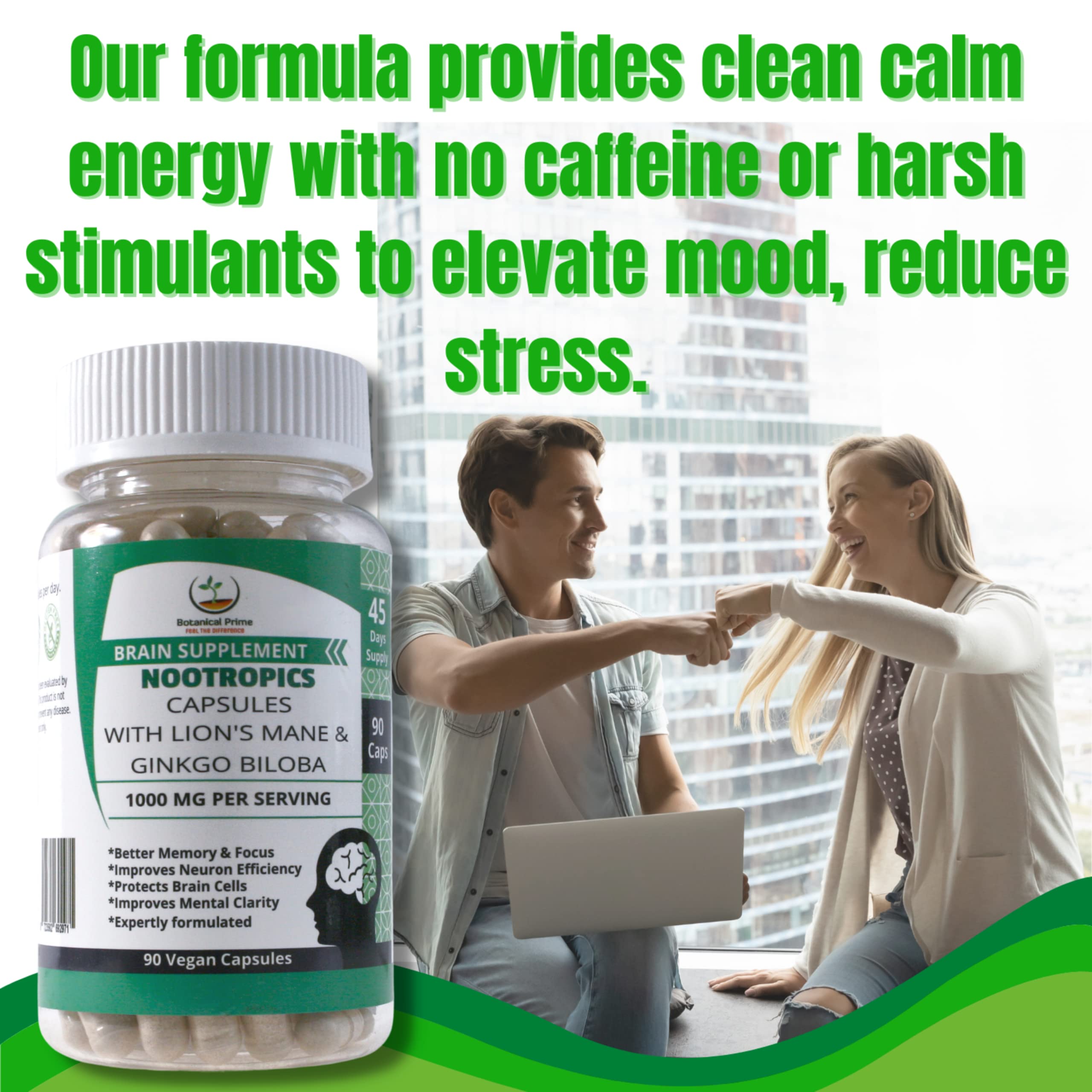 ginkgo biloba for tinnitus relief