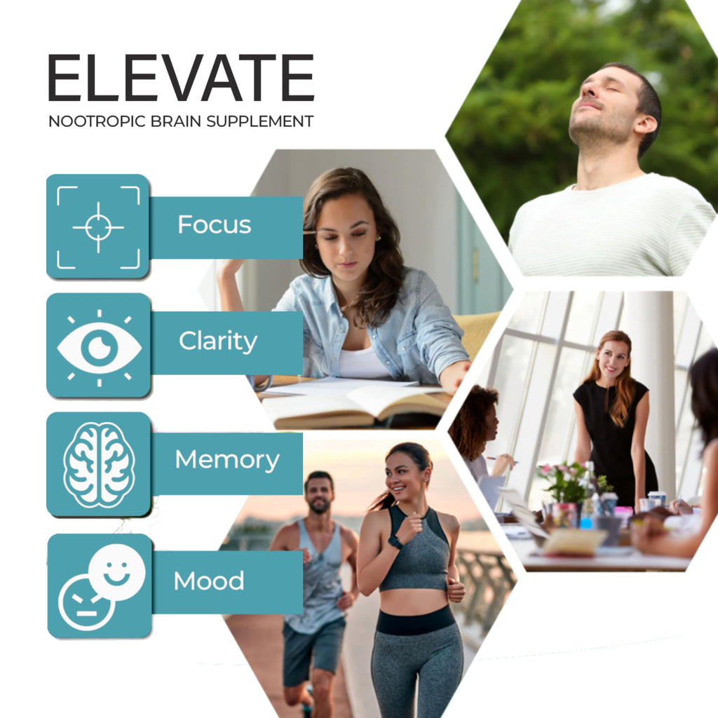ginkgo biloba for tinnitus relief