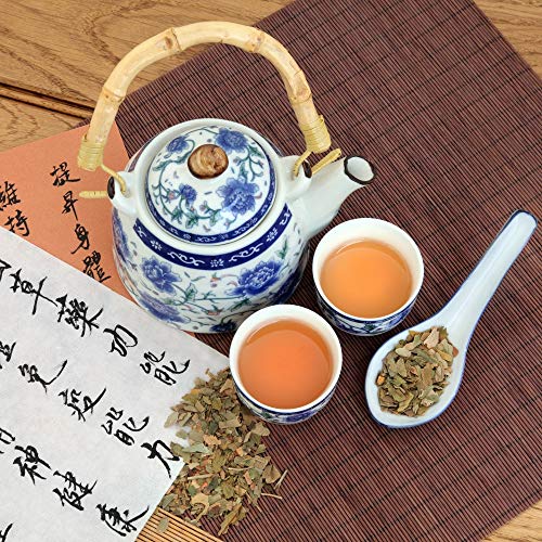 ginkgo biloba for tinnitus relief