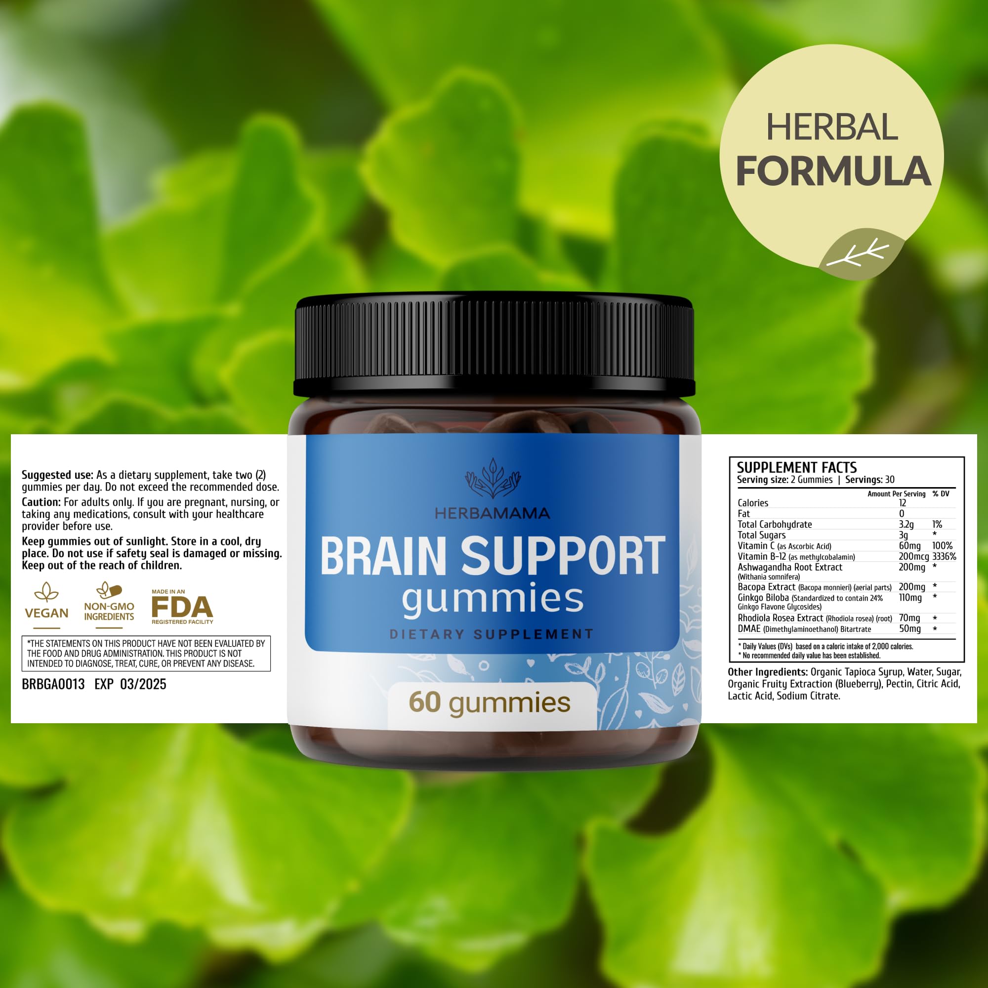 ginkgo biloba for tinnitus relief