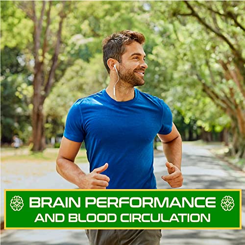 ginkgo biloba for tinnitus relief