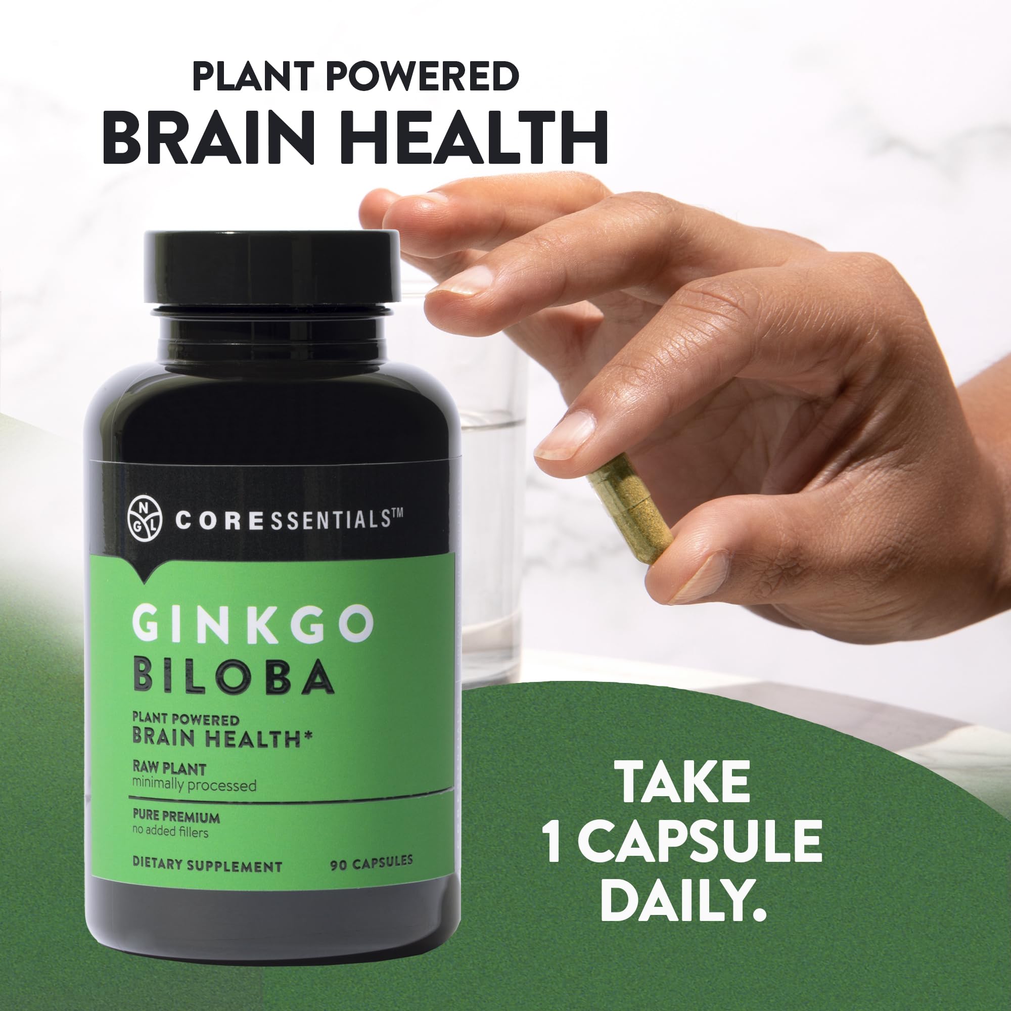 ginkgo biloba for tinnitus relief