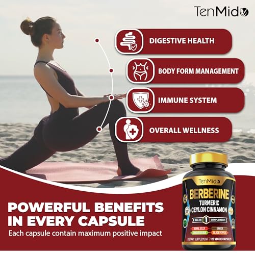 ginkgo biloba for tinnitus relief