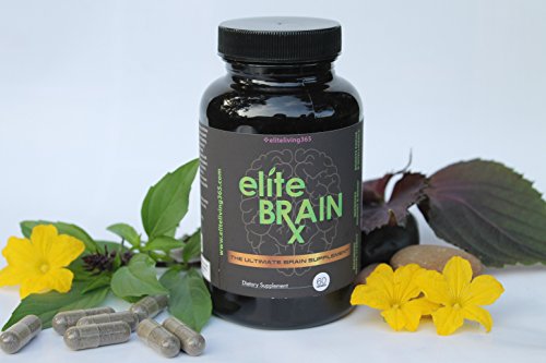 ginkgo biloba fruit extract advantages